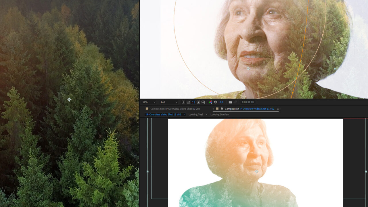 Indigenous Pact - Agency MABU