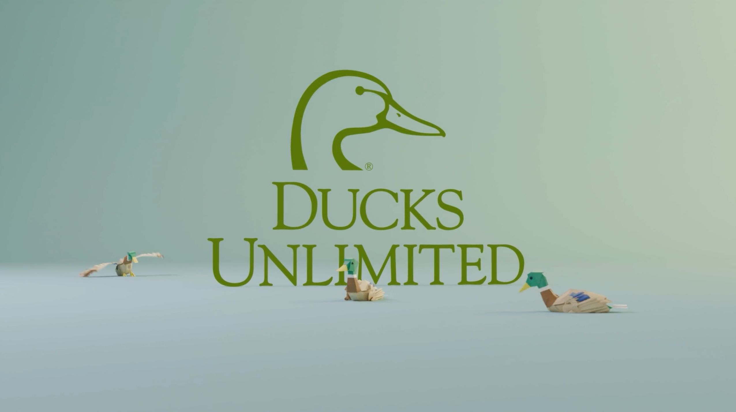 Ducks Unlimited - Agency MABU